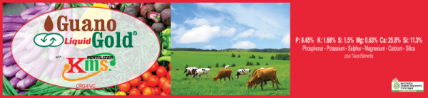 High phosphorus seabird guano organic liquid fertilizer