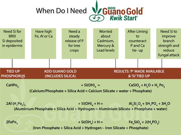 Organic farming fertilizers: why use Guano Gold Kwik Start?